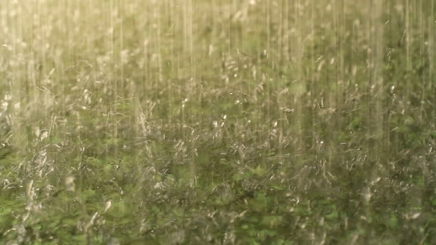 Close up the Falling Rain Stock Footage Video (100% Royalty-free ...