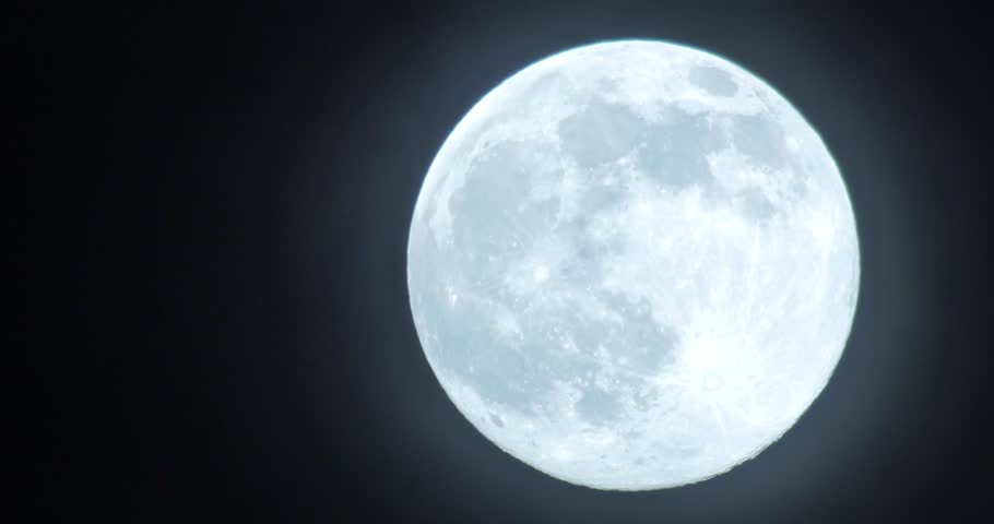 Animated Cartoon Halloween Background Bat And Moon With Alpha Mask ...