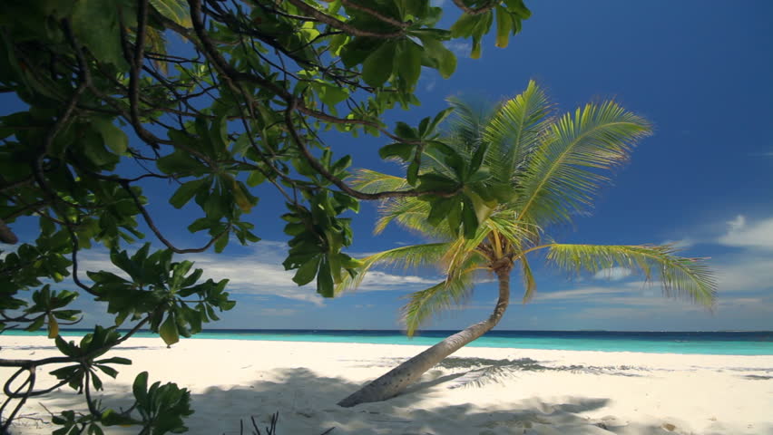 Palm Tree On Tropical Beach, Philippines, Boracay Island Stock Footage ...