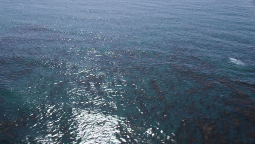 Aerial View of Sea. Helicopter Stock Footage Video (100% Royalty-free ...