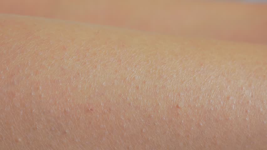 Women Leg Texture 4K 2160p UHD Panning Footage - Human Leg Close Up ...