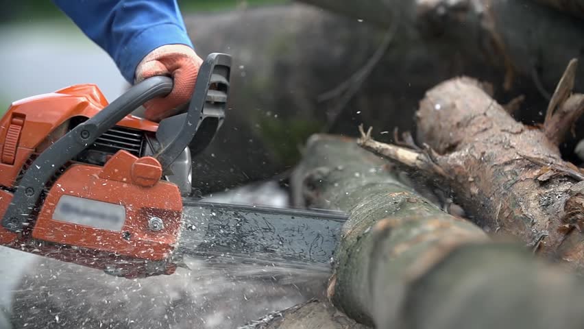 woodcutter-at-work image - Free stock photo - Public Domain photo - CC0 ...