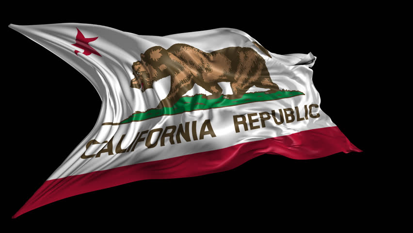 California Republic Flag Stock Footage Video 4411322 | Shutterstock