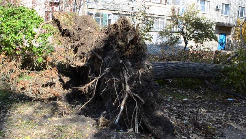 Survivors Survey Landslide Damage In Aftermath Of Powerful Earthquake ...