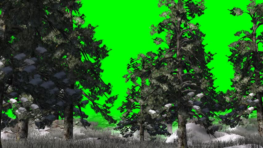 Snowy Christmas Landscape - Green Stock Footage Video (100% Royalty ...