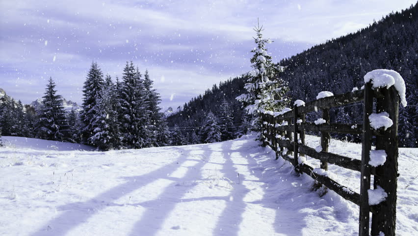 Winter Landscape with Falling Snow Stock Footage Video (100% Royalty ...