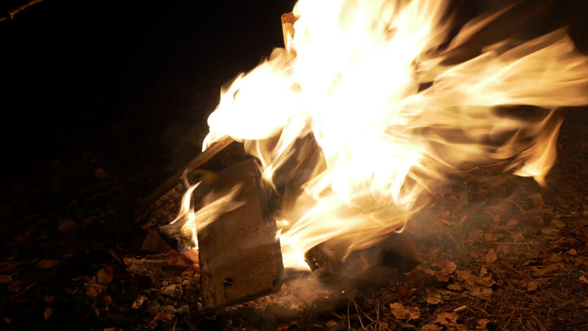 Stock video of 4k bonfire in the dark forest | 8306215 | Shutterstock