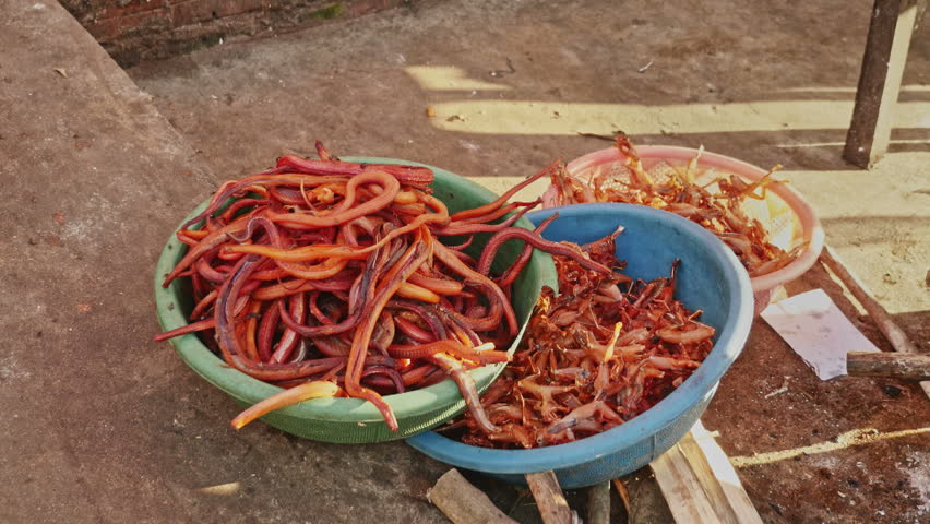 Stock video of flies feeding on fried snakes | 8563675 | Shutterstock