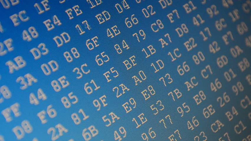 Hexadecimal Program Code On Screen Animated Background Of Moving Binary Code Numbers Stock
