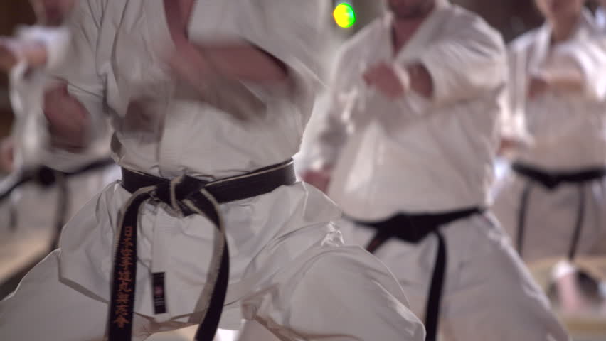 Group of People Practicing Karate Stock Footage Video (100% Royalty ...